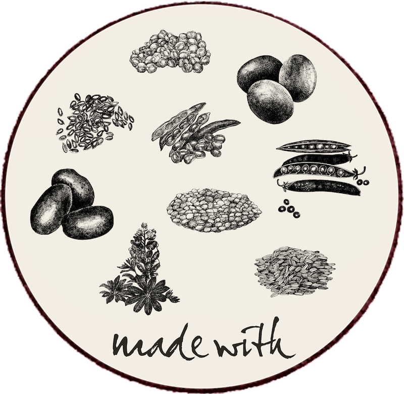 Essential the Beginning Large Breed Puppy Dry Food Kibble - Essential ...